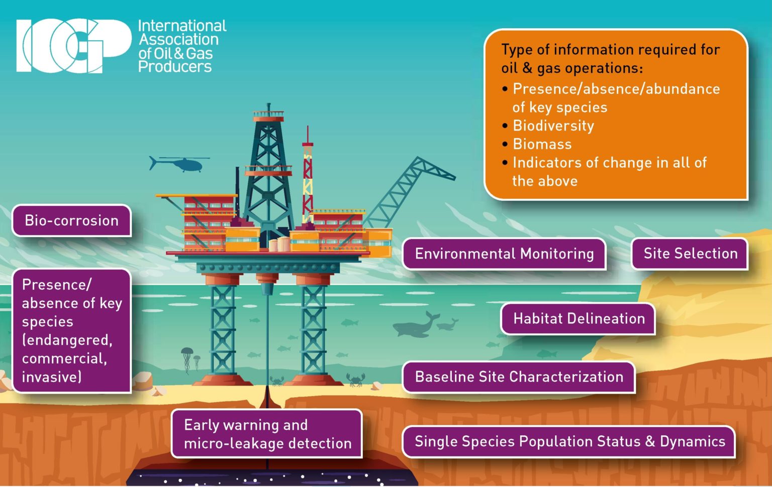 E&P Environmental Genomics Research Programme - E&P Environmental ...